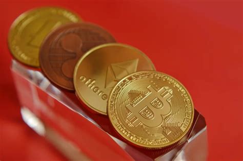 파이코인 Pc채굴 최적의 채굴 환경 구축하기 크리트 코리아