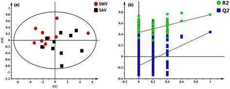 A Pca Score Plot R²x 0976 Q² 0927 And B Pls‐da Permutation