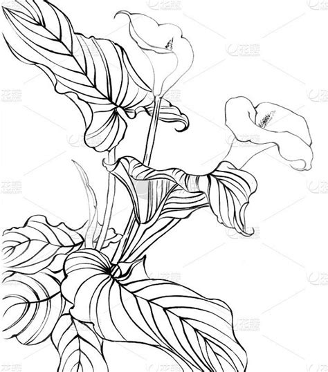 我的艺术作品——中国画，花