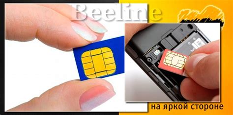Как восстановить сим карту Билайн сколько стоит и как долго