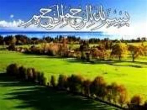 Mango Insects A Lecture To Tot Trainees Ffs By Mr Allah Dad Khan