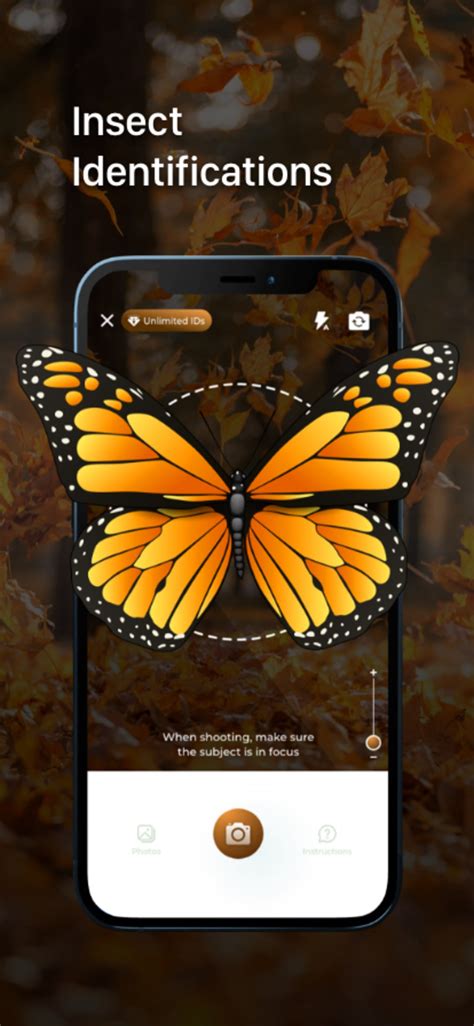 Insect Id Insect Identifier App Pour Android T L Charger