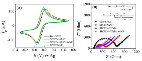 A Cyclic Voltammogram At 50 Mvs And B Nyquist Plot Complex Plane Download Scientific