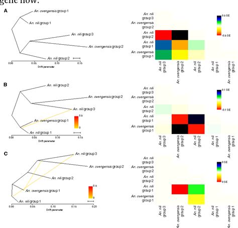 Figure 1 From Genomic Signatures Of Introgression At Late Stages Of