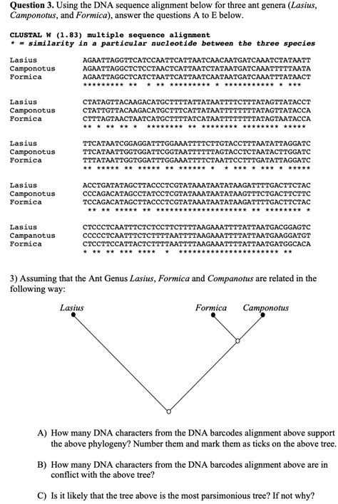 Solved Question 3 Using The Dna Sequence Alignment Below