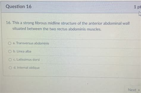 Question 16 16 This A Strong Fibrous Midline StudyX