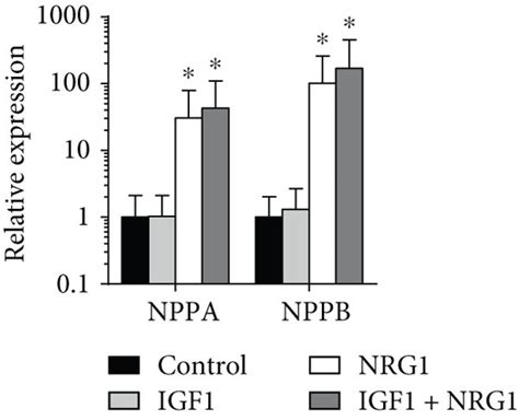 Engineered Tissues Alter Their Gene Expression Patterns By Q Rt Pcr