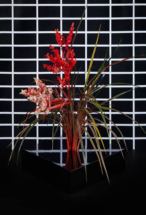 Mariah Wright Using Design To Reflect On What Is Around Us