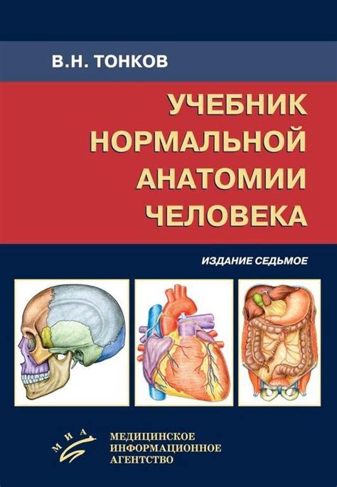 Учебник нормальной анатомии человека купить в Москве цена 2 400 руб