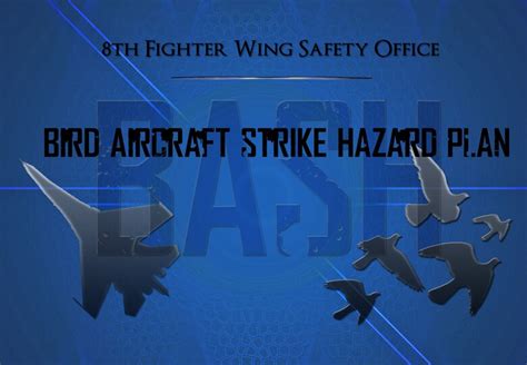 Kunsan Safety Works To Protect Birds Big And Small Kunsan Air Base