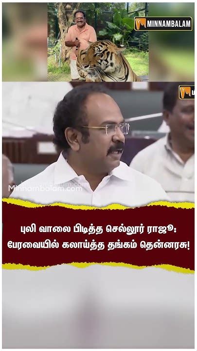 புலி வாலை பிடித்த Sellurraju பேரவையில் கலாய்த்த Thangam Thennarasu