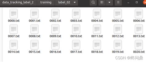 【从kitti开始自动驾驶】 61 下载tracking和2d侦测kitti Tracking Label Csdn博客
