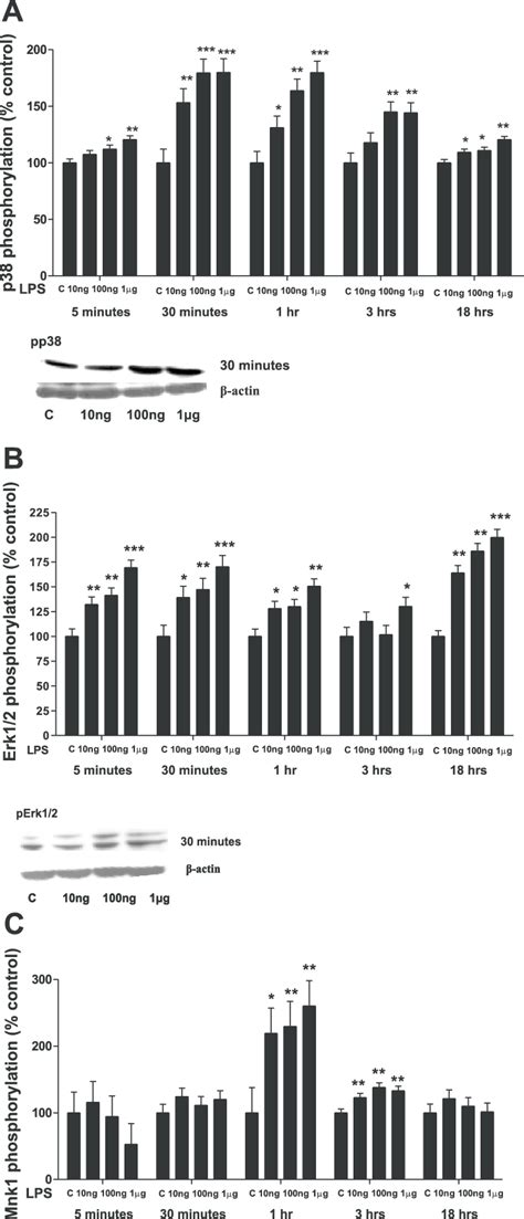 Time And Dose Dependent Effects Of Lps 10 Ngml 100 Ngml And 1