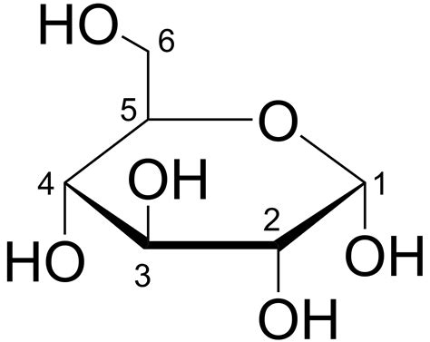 Fileglucose Haworthpng Wikimedia Commons