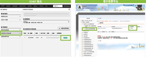 申報未使用空白字軌紀錄｜電子發票 Ichef Support