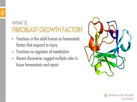 Stem Cell Meaning Flexsalon