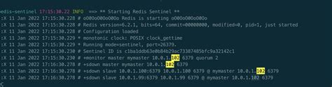 Redis Docker Swarm 集群部署 Flyenblog