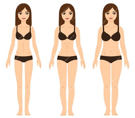 Tipos De Cuerpo Femenino Ectomorfo Mesomorfo Y Endomorfo Vector Premium