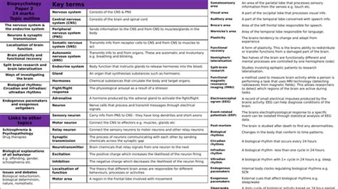 Aqa Psychology Biopsychology Knowledge Organiser Paper 2 Teaching