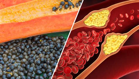 5 Reasons Why Papaya Seeds Are Helpful In Controlling Cholesterol