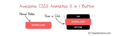 How To Create Css Animate Button Css Buttons Animation