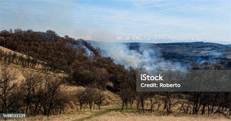 언덕에서 마른 초목을 태우다 가뭄에 대한 스톡 사진 및 기타 이미지 가뭄 건조한 경관 Istock