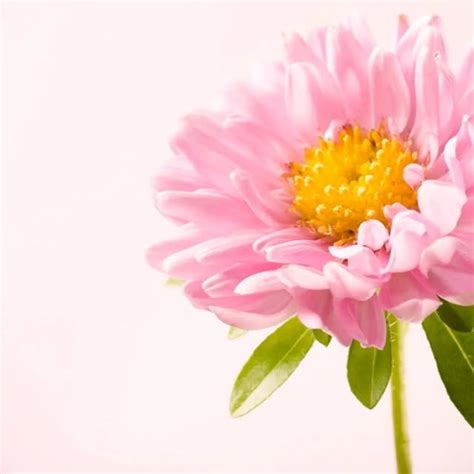 Nguyễn Ngọc Trinh Nguyen Ngoctrinh58605 • Threads Say More