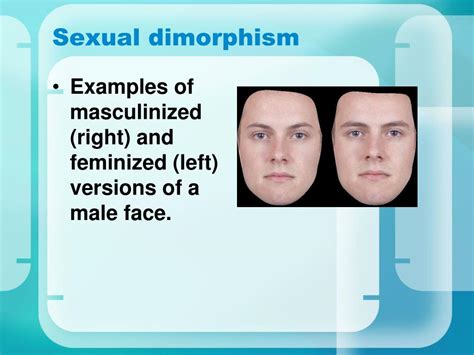 Ppt Attractiveness Powerpoint Presentation Free Download Id585096