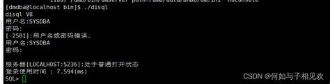 Linux环境下达梦数据库的安装与初始化指南 Csdn博客
