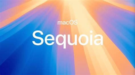 Macos Sequoia Beta 5 Enthält Verstecktes Hintergrundbild