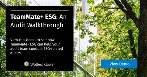 Ivan Tang On Linkedin Teammate Esg An Audit Walkthrough