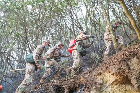 云南彝良突发山火 武警官兵星夜驰援荔枝军事荔枝网新闻