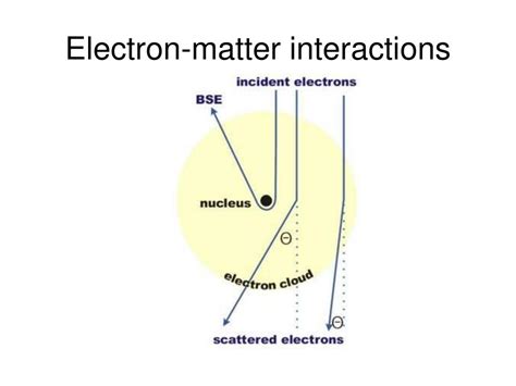Ppt Electron Microcopy Powerpoint Presentation Free Download Id