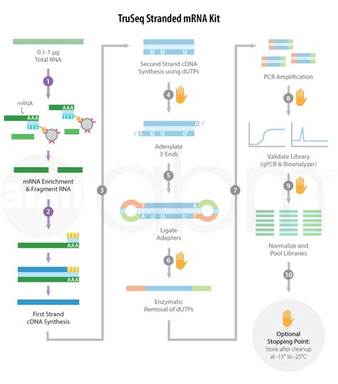 Next Generation Sequencing Ngs Experimental Design Abm Inc