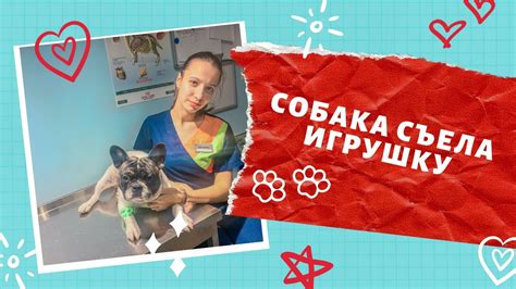 Собака съела игрушку YouTube