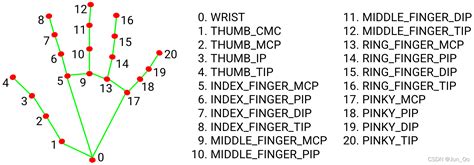 Windows 基于 Mediapipe 实现 Handtrackingmediapipe Hand Tracking Csdn博客