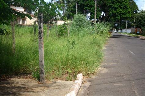 Acúmulo de lixo e mato alto vira reclamação de moradores da Vila Alba