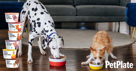 How We Know Petplate Is The Best Tasting Dog Food Petplate Petplate