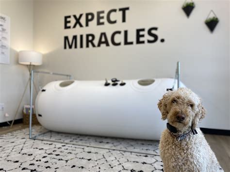 Hyperbaric Oxygen Therapy A Promising Solution For Various Health