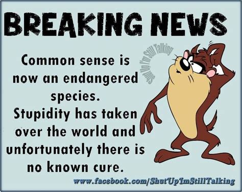 787 Best Taz Images On Pinterest Cartoon Comic And Demons