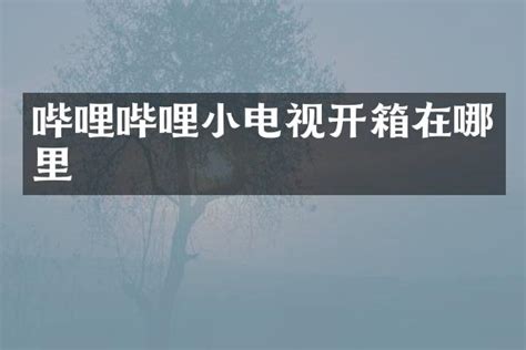 哔哩哔哩私信限制多少条 哔哩哔哩百科知识 知视百科