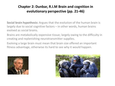 Social Brain Hypothesis