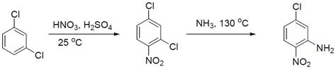 一种5 氯 2 硝基苯胺的制备方法与流程