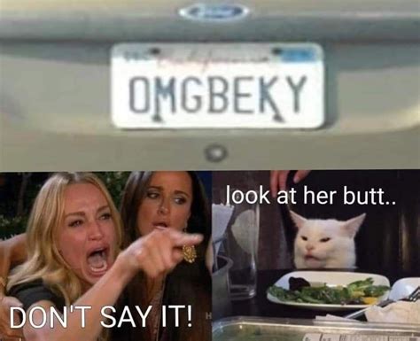 Woman Yelling At Cat Memes That Perfectly Showcase Strange Southern