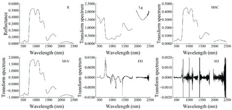 Original Spectrum And Preprocessing Spectra Note R Lg Msc Snv Fd