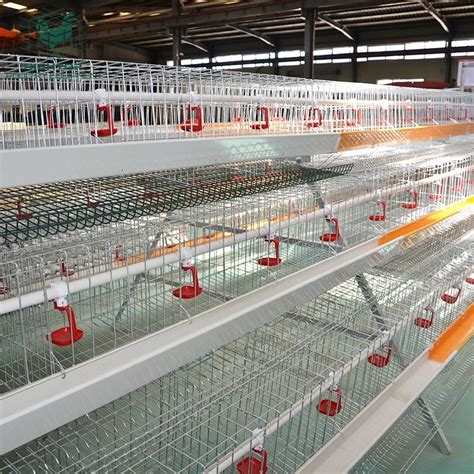 China Ready To Lay Rtl Battery Layer Chicken Cages For Manila Davao