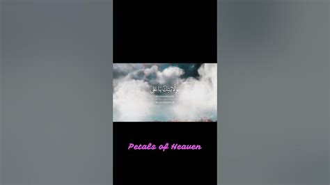 Naad E Ali Aren Sub 4k Ali Fani علي فاني ناد علي Allah Quran Shorts Alifani