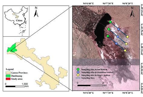 Study Area And Sampling Point Distribution Download Scientific Diagram