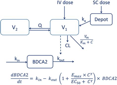 Schematic Overview Of The Final Population Pkpd Model Download