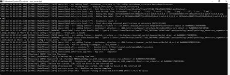 running the server monailabel server